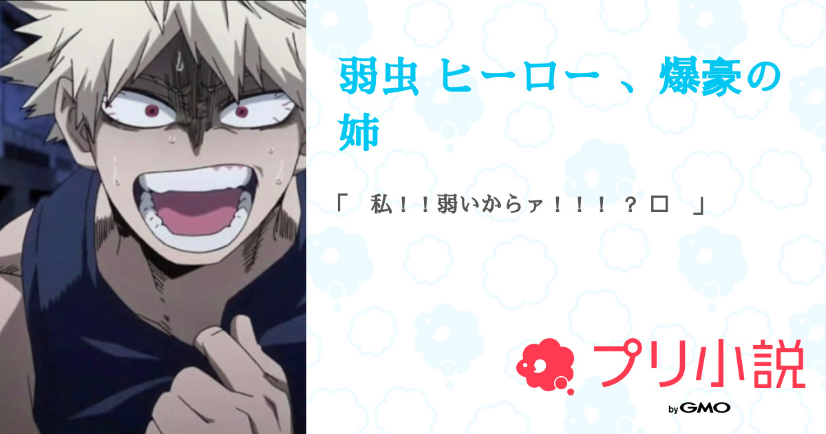 第40話：39💥（弱虫 ヒーロー 、爆豪の姉）｜無料スマホ夢小説ならプリ小説 byGMO